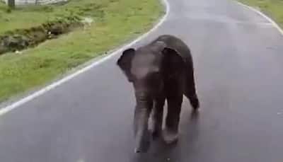 Porn videos britney light she stated she would be ready at