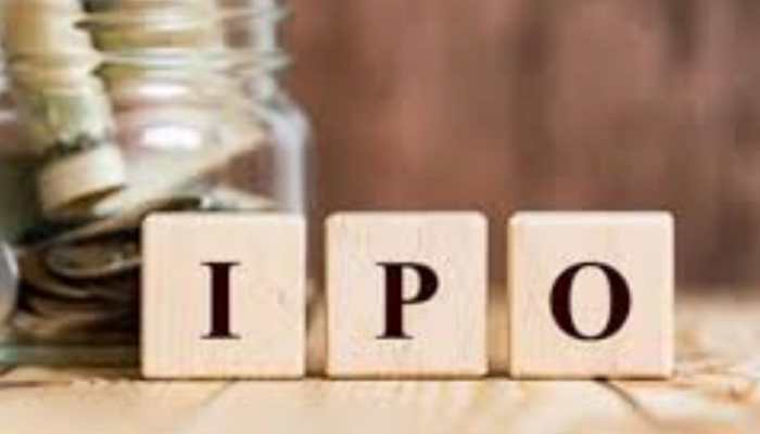 US, India Lead Global List As 539 Companies Float IPOs In H1 2025 | Economy News | Zee News