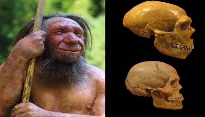 Once Another Human Existed: Half-Man, Half-Beast – The Forgotten Story ...