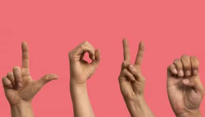 International Day Of Sign Languages 2025: Theme, Significance, And Why ...