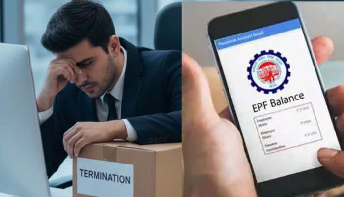 Lost Your Job? Here’s How Much PF You Can Now Withdraw Under New EPFO Rules | Personal Finance ...