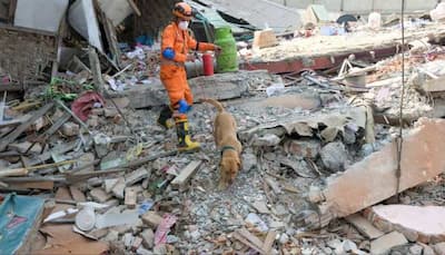 Earthquake Science: Trapped By Tectonics—How The Indian Plate Collision ...