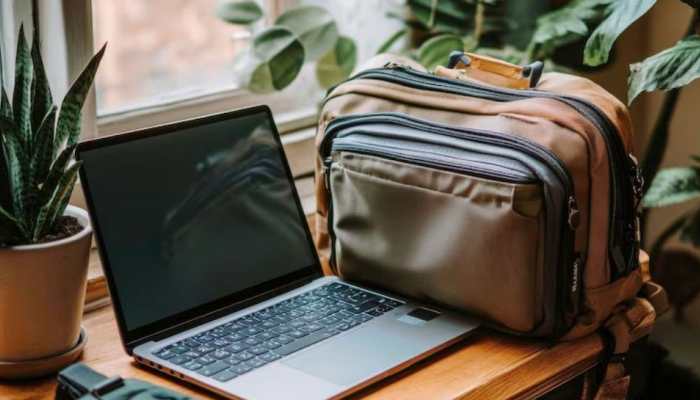 Rs 32K Bag That's Equivalent To Monthly Rent For Most Indian Metros ...