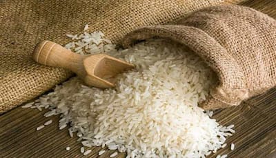 18 Billion-Dollar Rice Question: Why US And Canada Are Targeting India ...