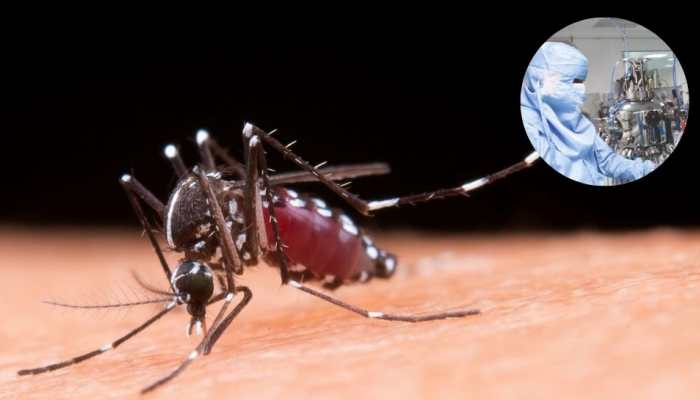 IIT Delhi Just Changed The War Against Mosquitoes Forever - And Your ...