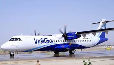 IndiGo Crisis: How To Check Your Live Flight Status Online Amid Mass ...