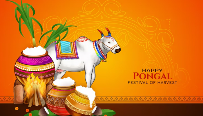 Pongal 2026: When Is Pongal? Check Dates, History, Muhurat ...