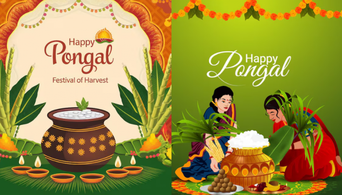 How Pongal 2026 Is Celebrated? Different Dates And Names To Day-Wise ...