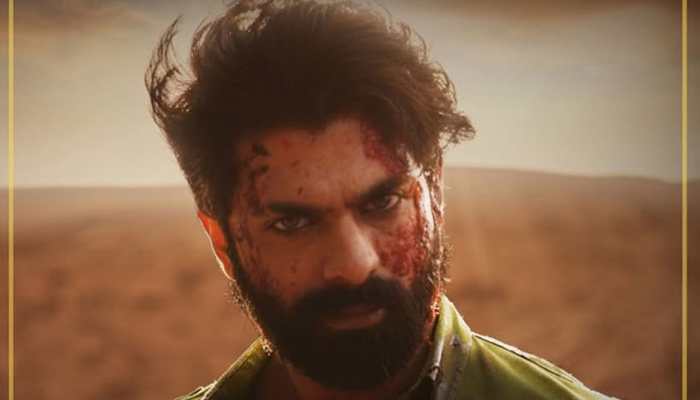 Taha Shah Badussha's Hindi Film Paro Makes It To Official Oscars ...