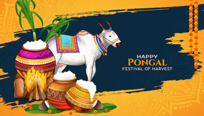 Happy Pongal 2026: 100+ Best Wishes, Quotes, Messages, And Images To ...