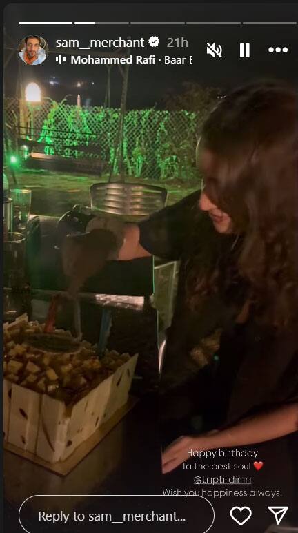 On Triptii Dimri's Midnight Birthday Celebration, Rumoured Boyfriend ...